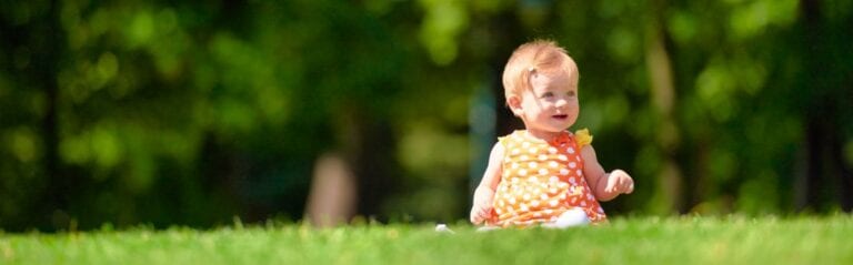 Example Child Support Order Washington State